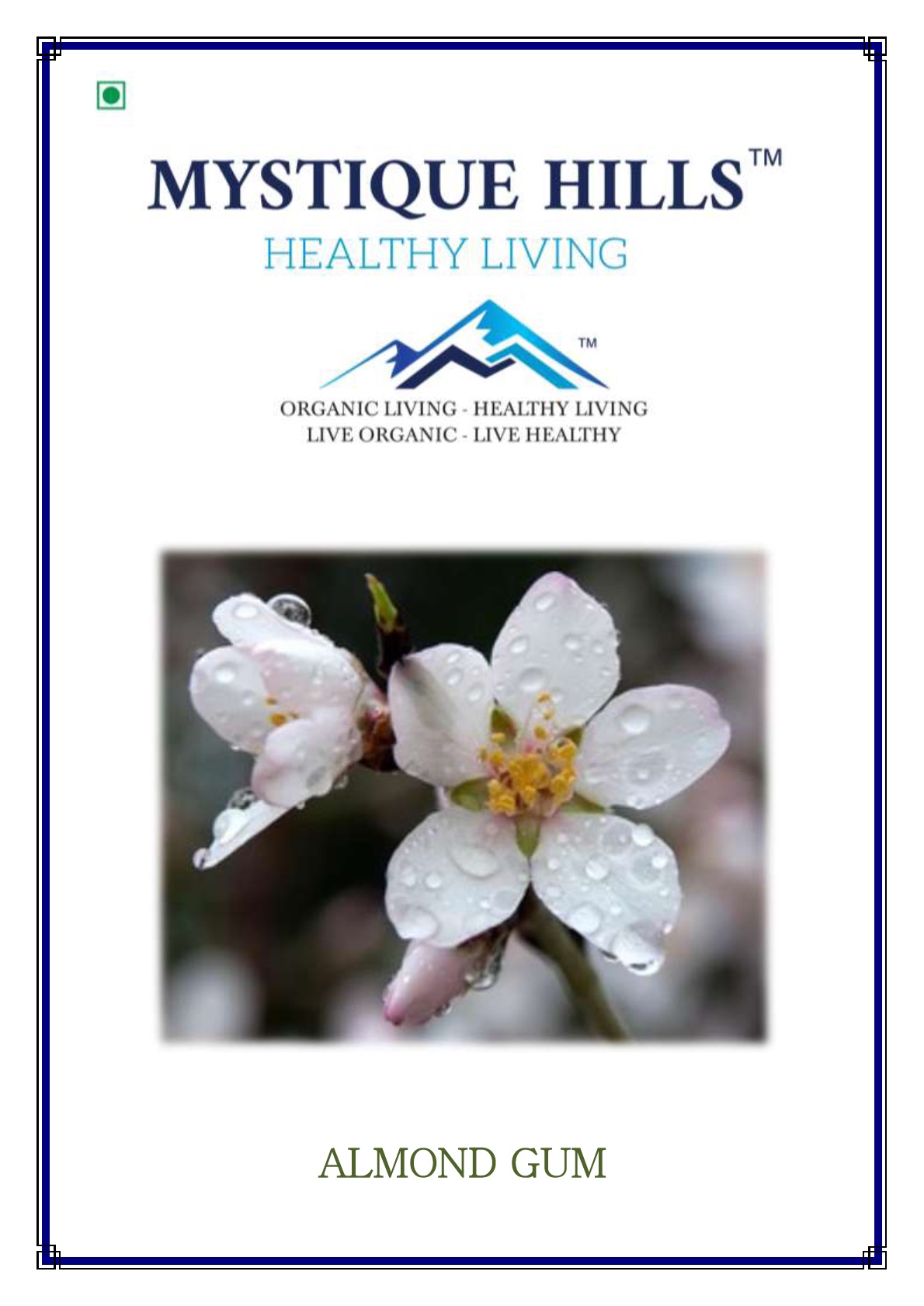 Almond Gum 250 g – MYSTIQUE