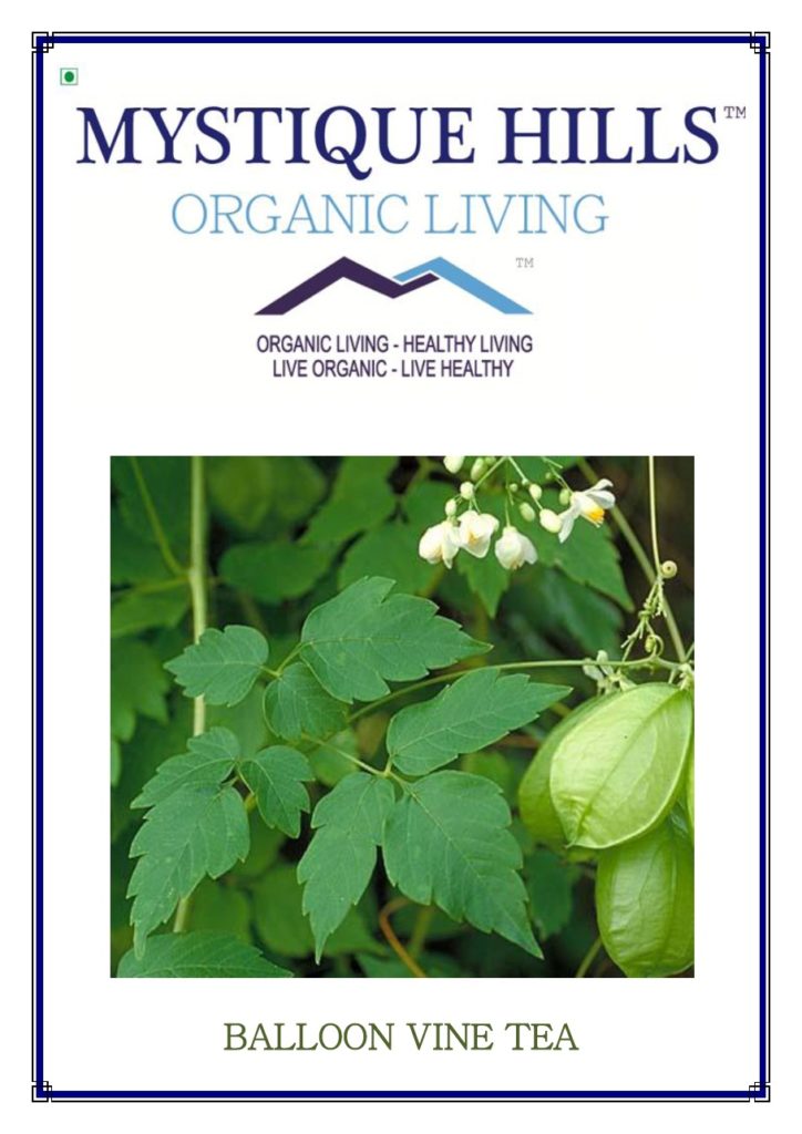 Balloon Vine Tea – MYSTIQUE