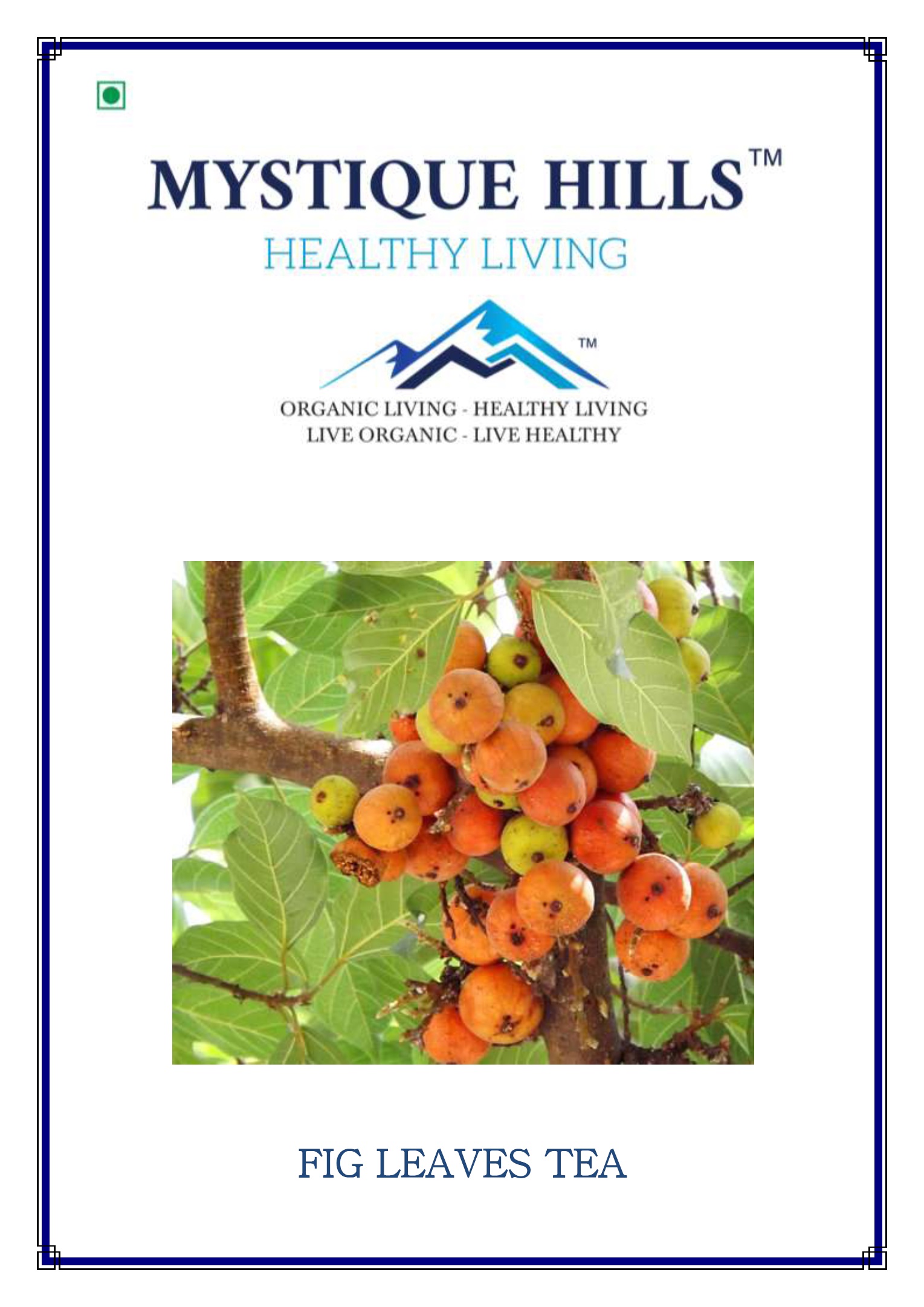Fig Leaves Tea Powder 100 g – Mystique