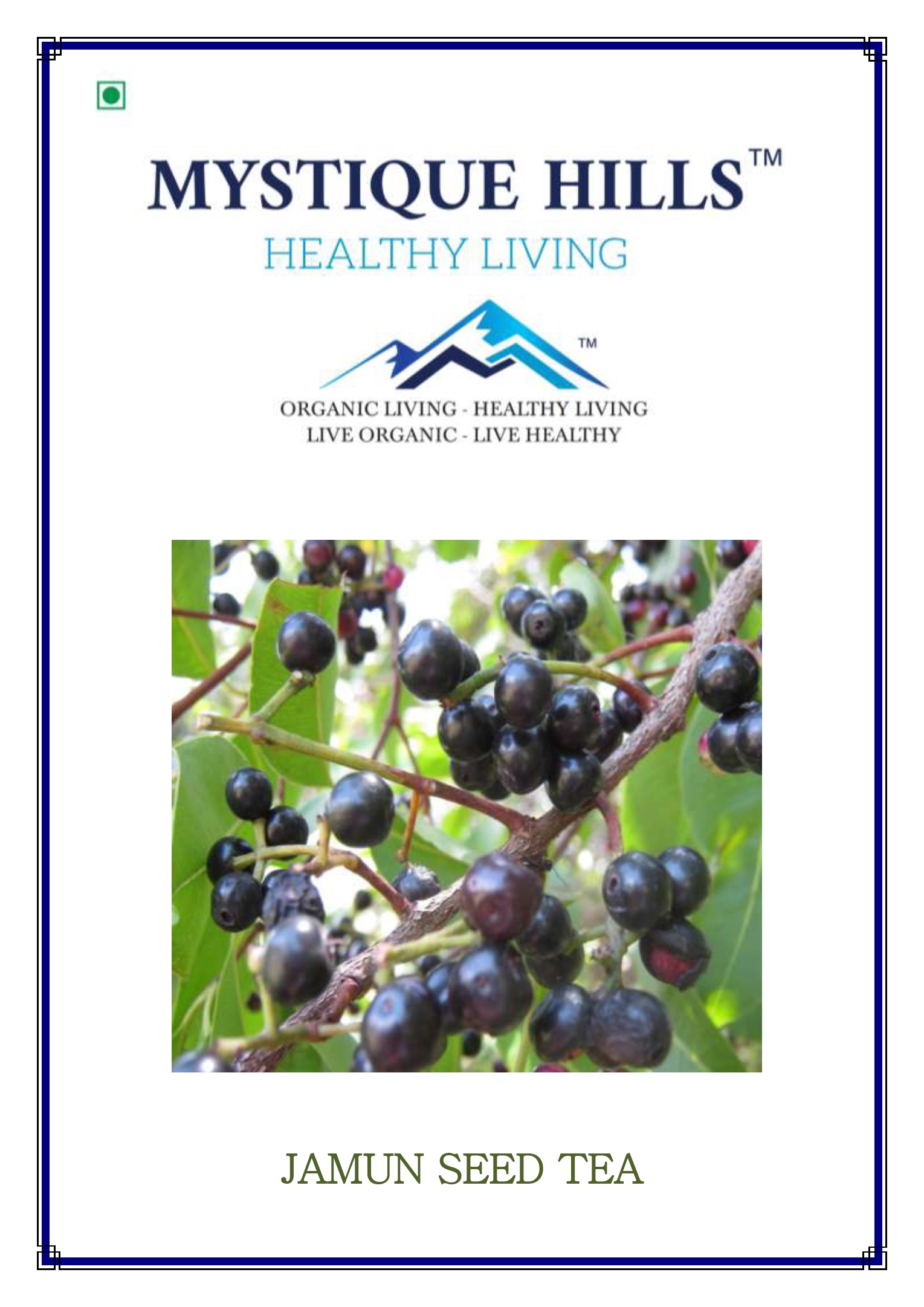 Jamun Seed Tea Powder 100 g – MYSTIQUE