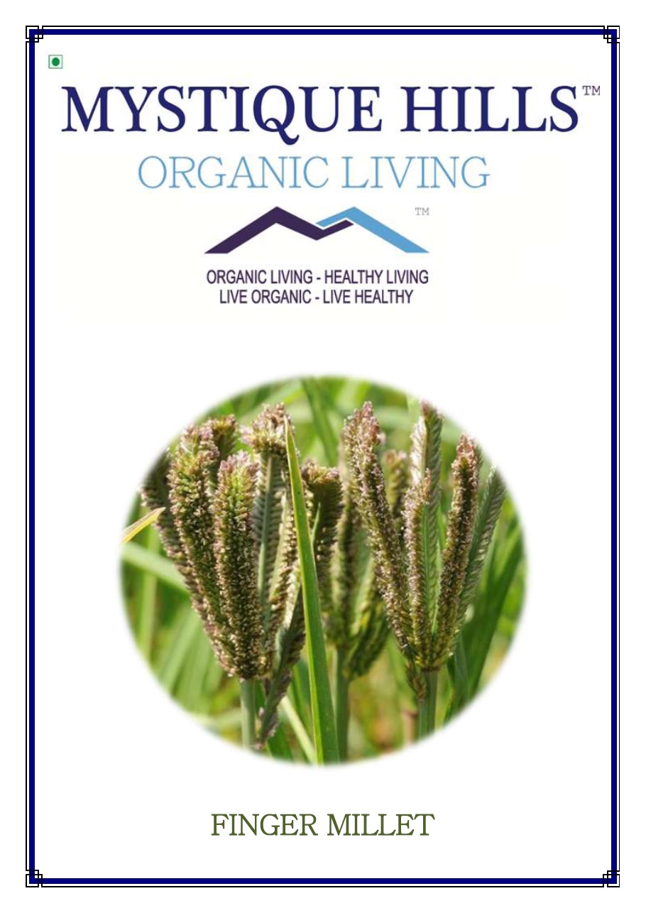 Organic Finger Millet ( Ragi ) 1 Kg – MYSTIQUE